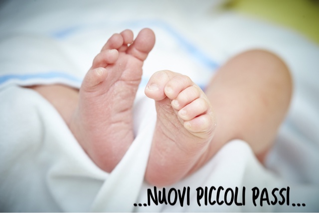 Di pance, nuove arrivi e cibo sano | Ricetta ed ingredienti dei ...