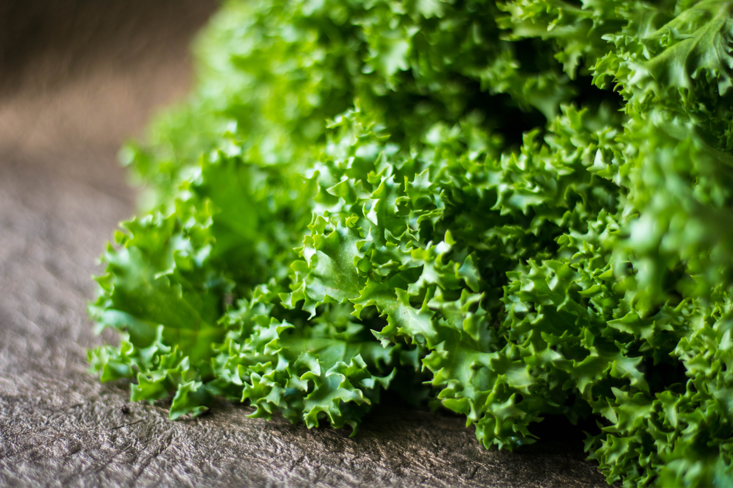 La scarola in cucina | Ricetta ed ingredienti dei Foodblogger italiani