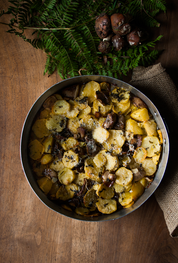 Tortiera di Patate e Vavusi (Suillus Luteus) | Ricetta ed ingredienti ...