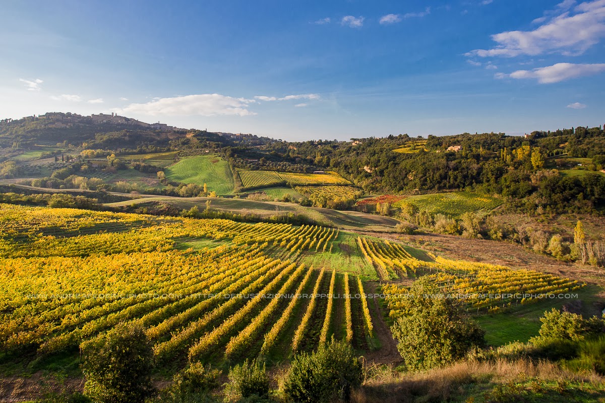 mtchallenge: MTC n. 45 – IL TEMA DEL MESE: IL FILETTO BACIATO DI ...