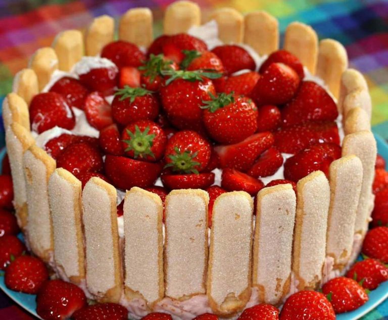 Torta Charlotte di Natale senza cottura e facilissima | Ricetta ed ...